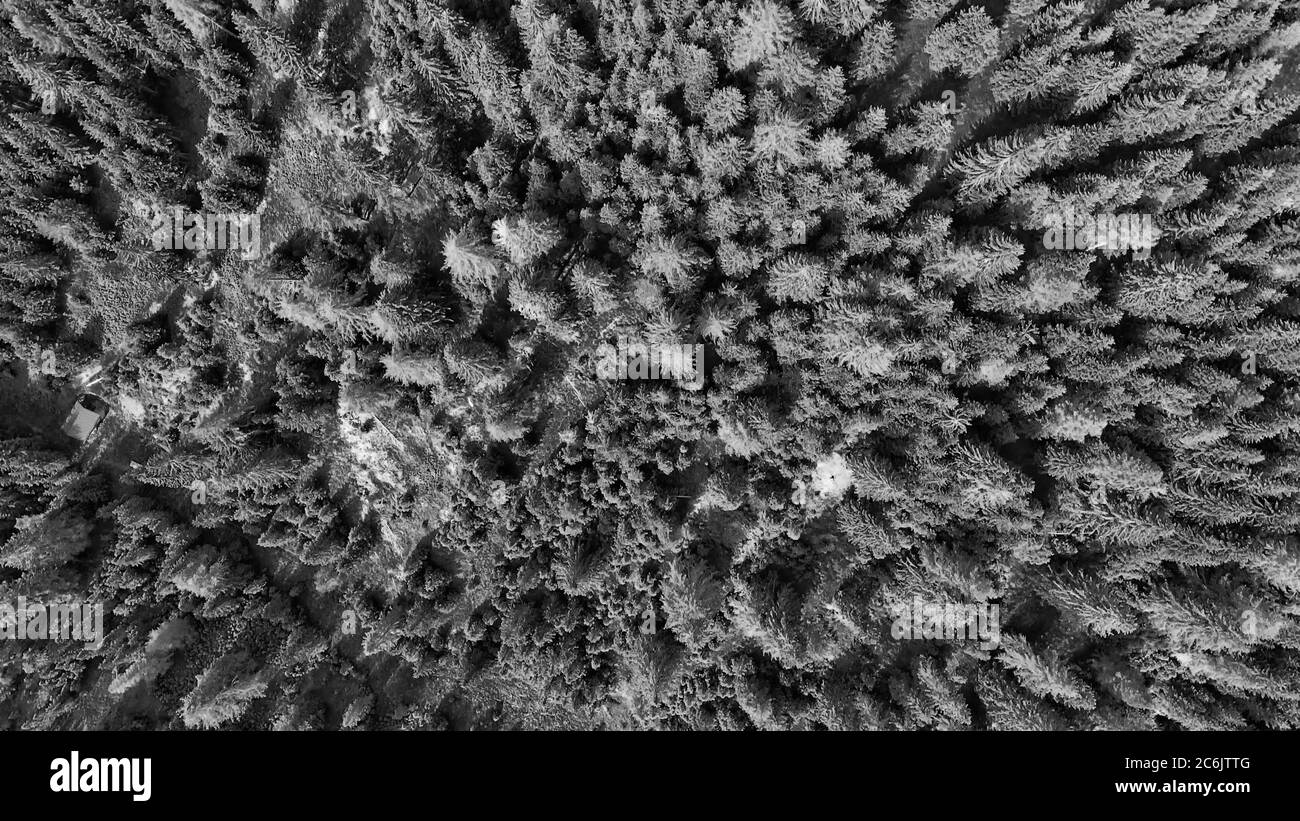 Overhead aerial view of beautiful mountain trees in summertime Stock ...