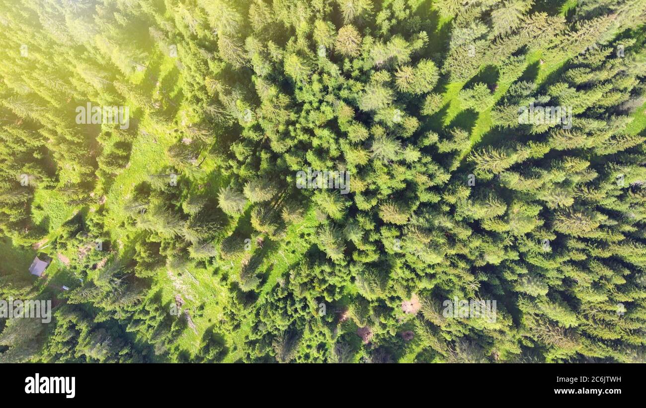 Overhead aerial view of beautiful mountain trees in summertime Stock ...