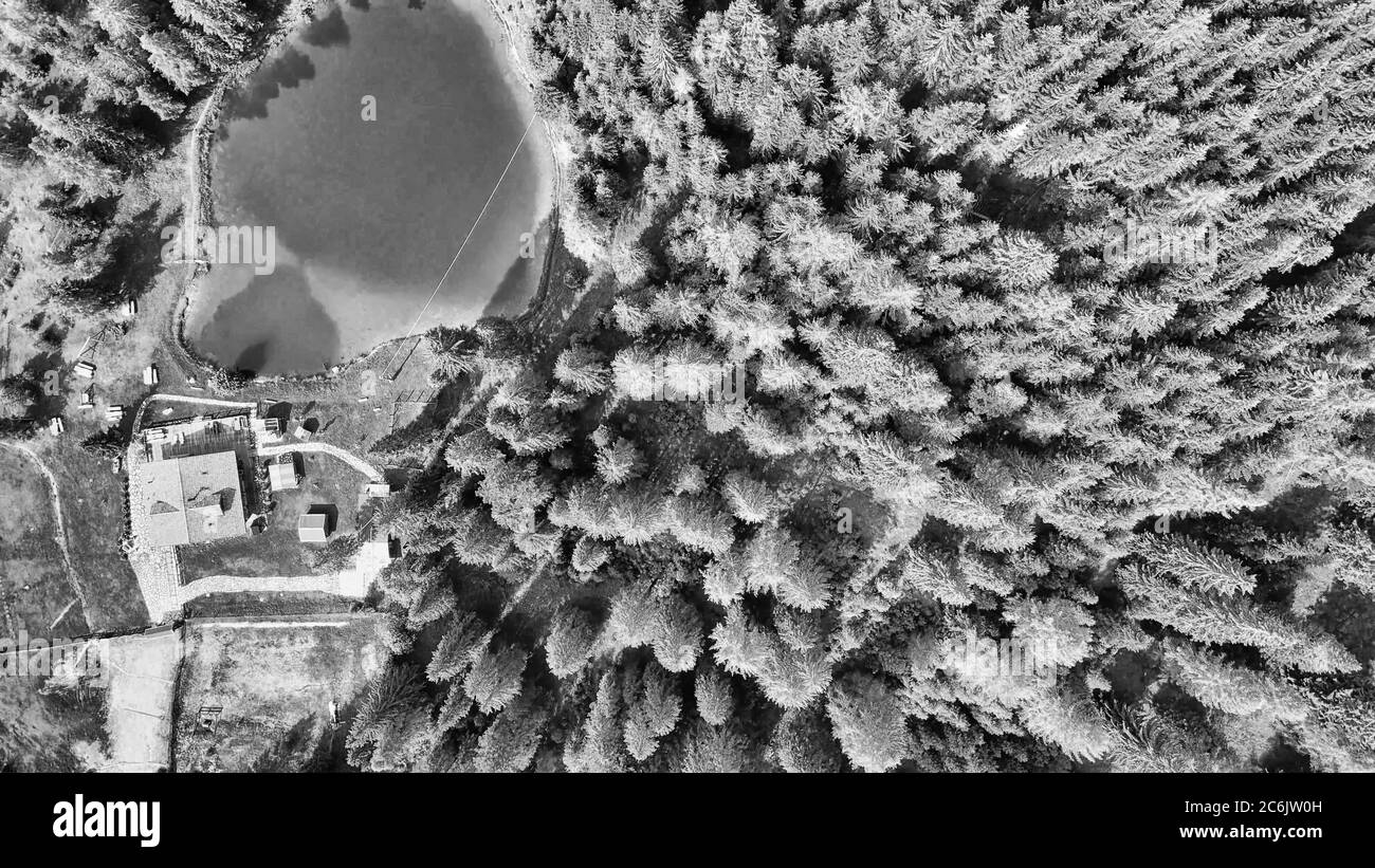 Alpin lake in summer time surrounded by beautiful forest, overhead ...