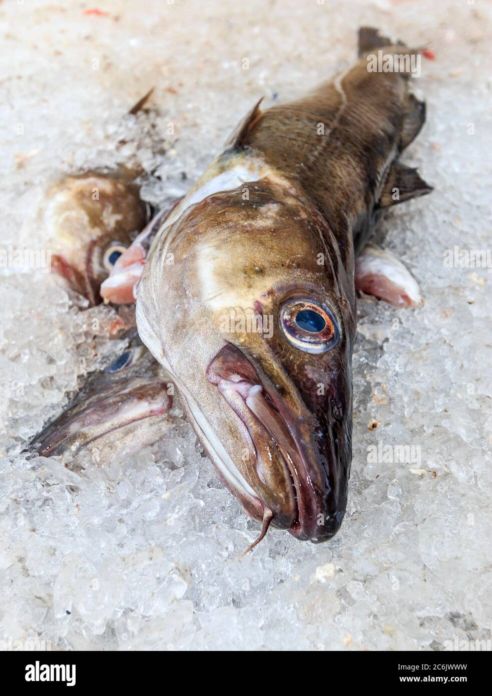 Iceland fish eat hi-res stock photography and images - Alamy