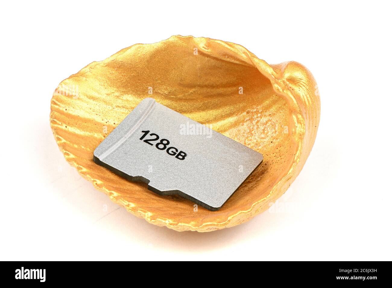 SD memory card on golden seashell isolated on white background. High ...