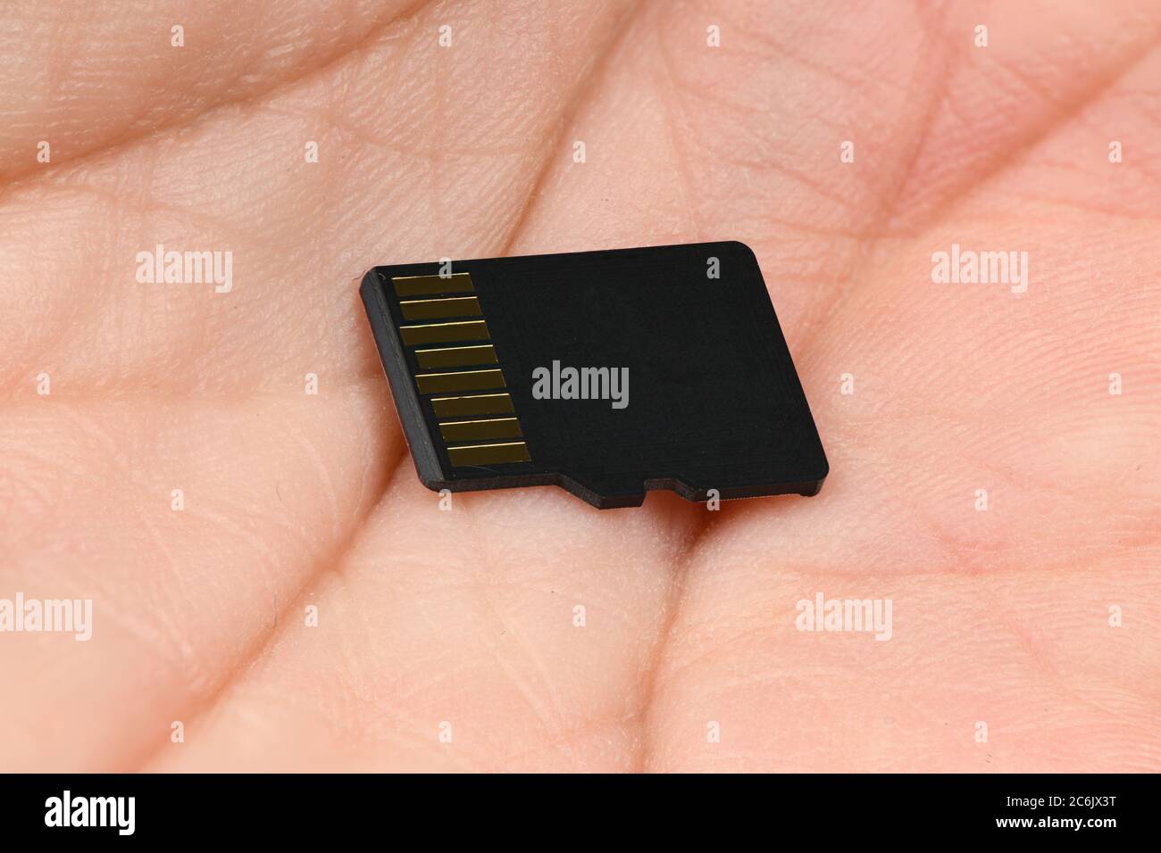 SD memory card isolated on hand. High resolution photo. Full depth of ...