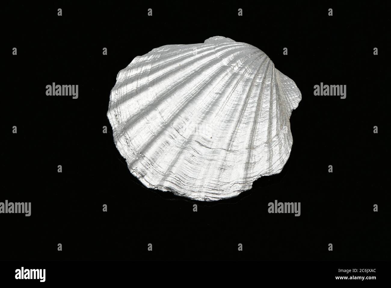 Silver seashell on black mirror background. High resolution photo. Full ...