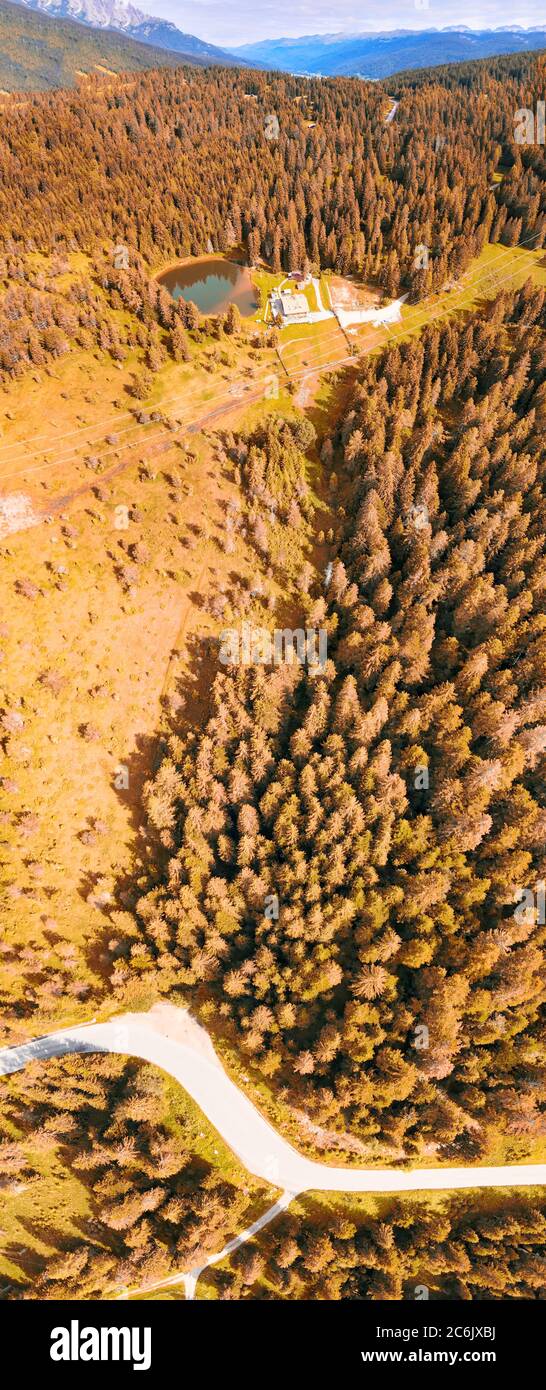 Aerial flying overhead trees in hi-res stock photography and images - Alamy