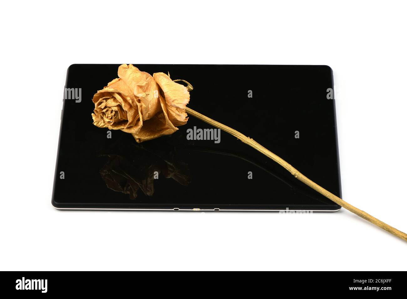 Golden rose on tablet pc isolated on white background. High resolution ...