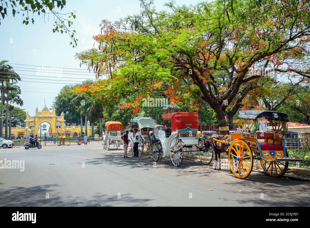 tourist spots in mysore,mysuru,karnataka,south india,mysore zoo,mysuru ...