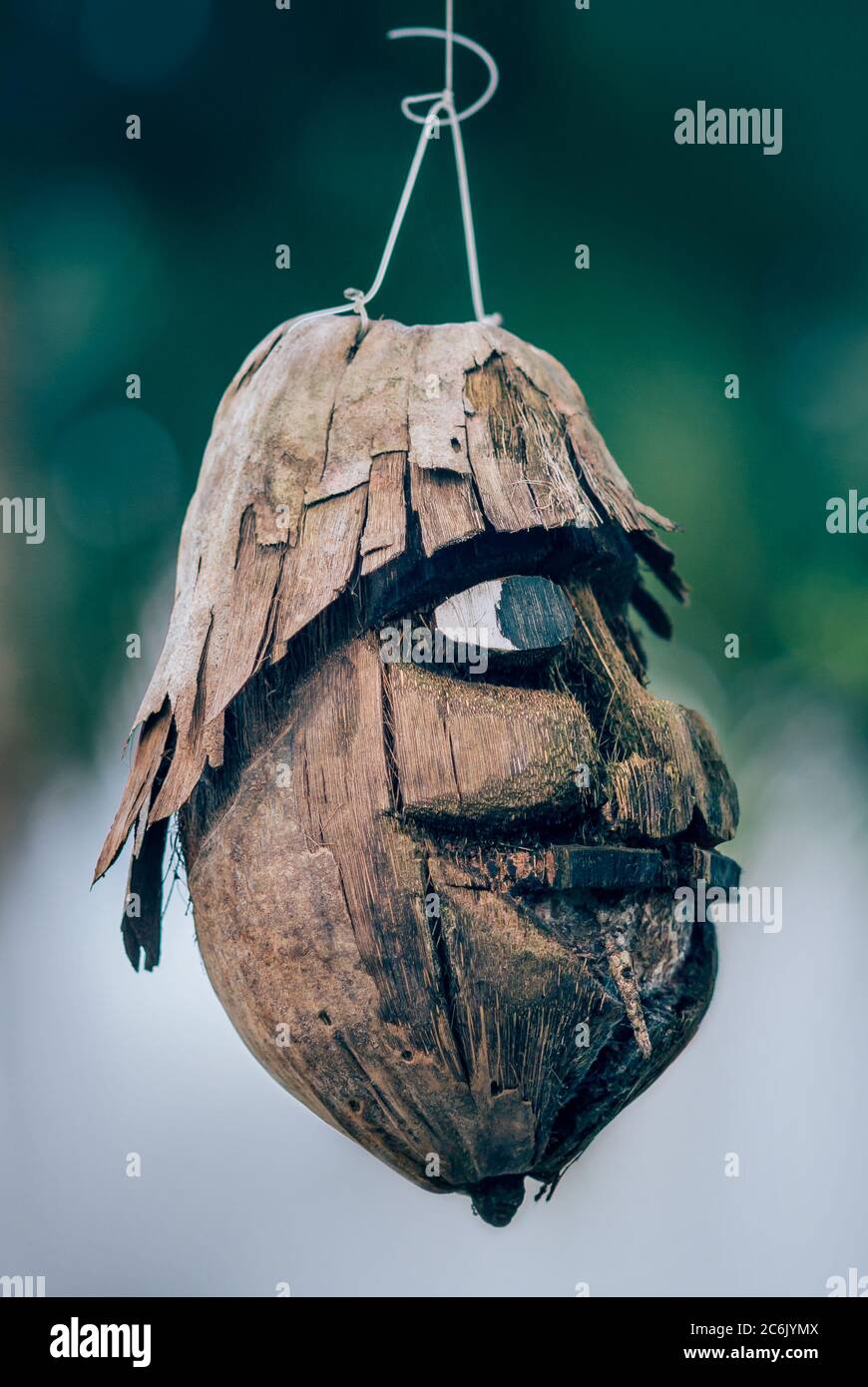 Carved coconut face head hi-res stock photography and images - Alamy