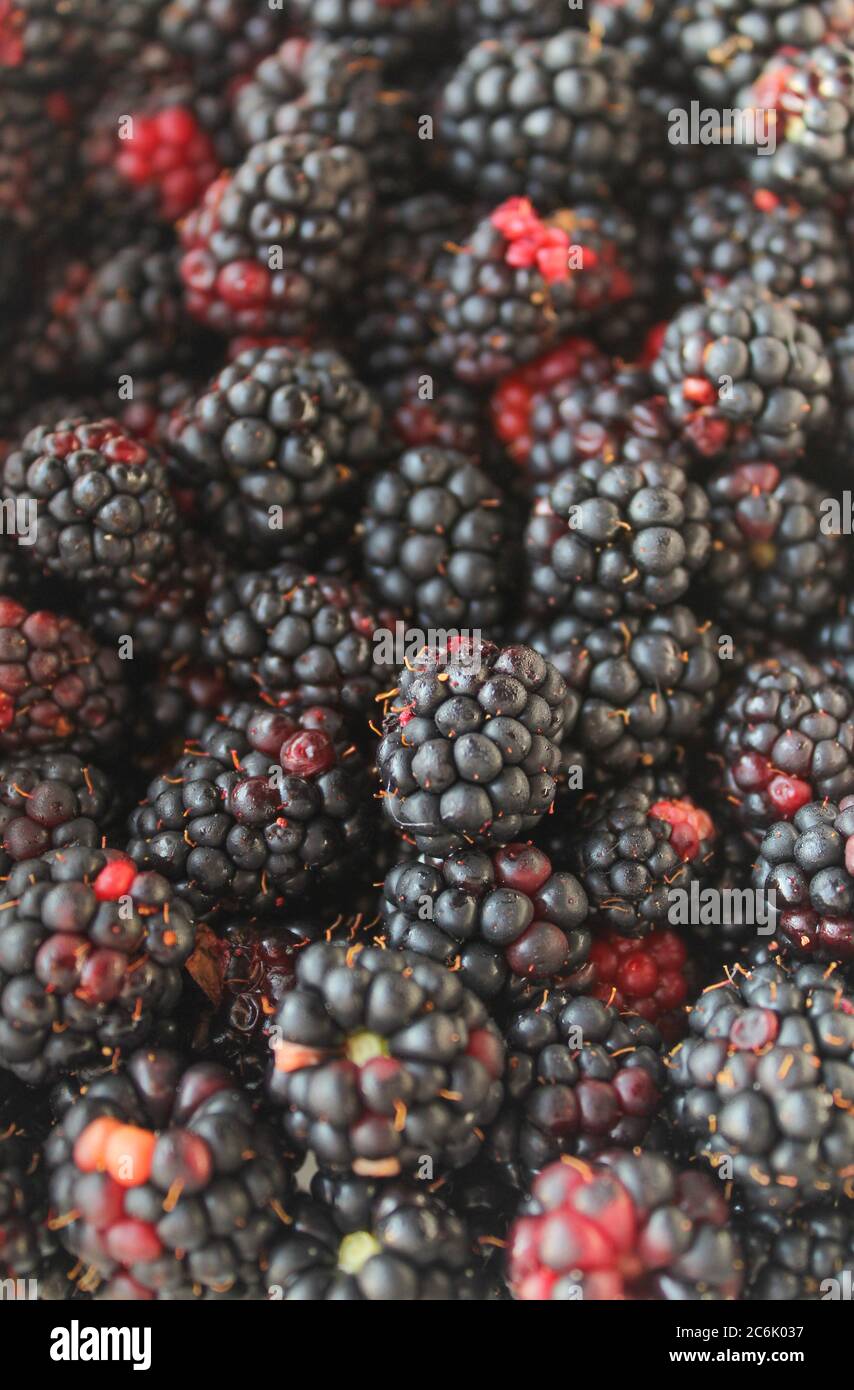 Wallpaper blackberry hi-res stock photography and images - Alamy