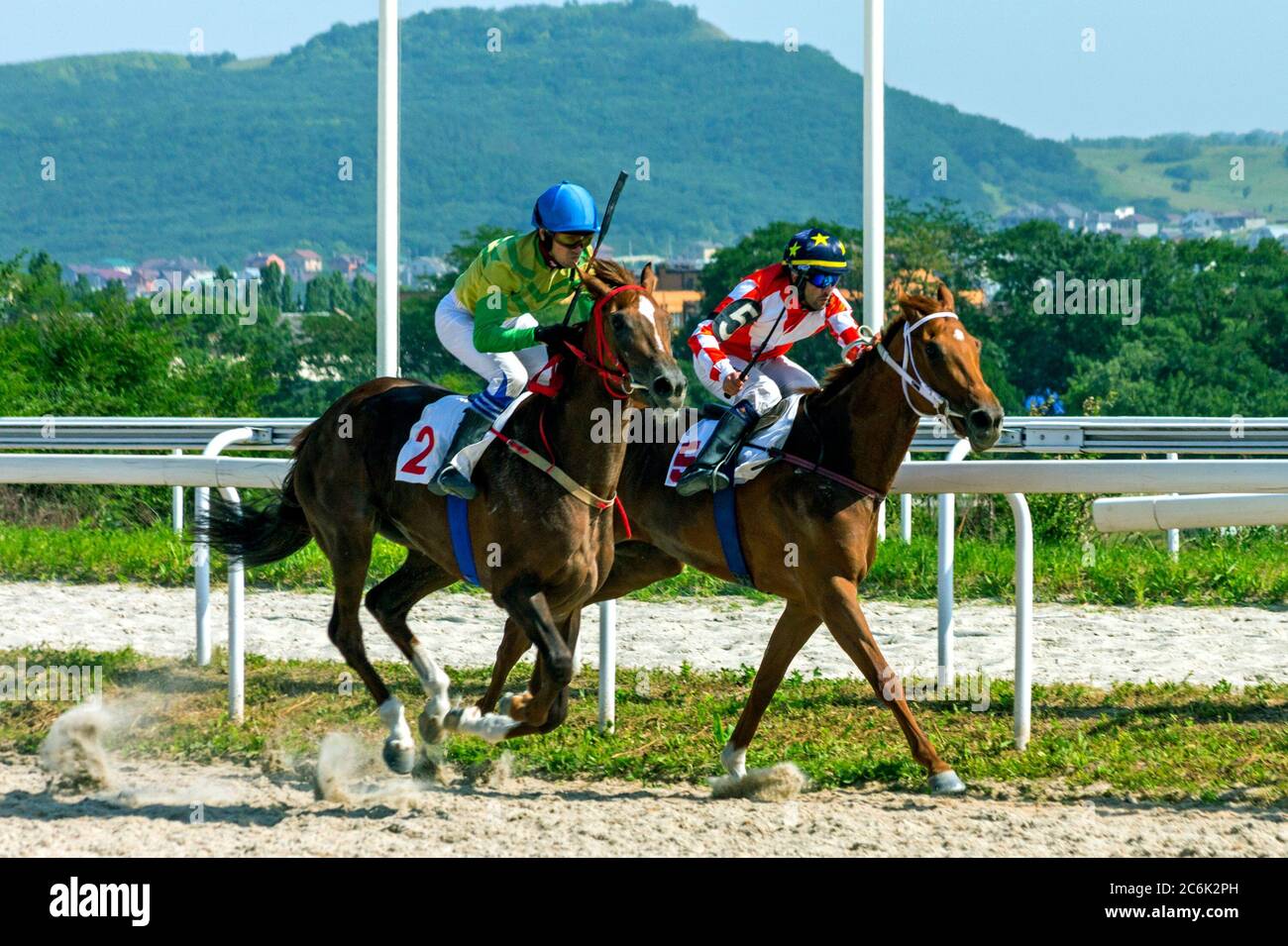 Flat horse racing close up hi-res stock photography and images - Alamy