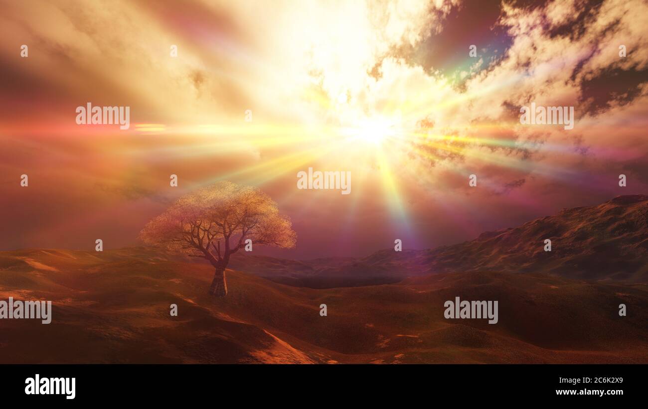 sunset at meadow and lonely tree, 3d render illustration Stock Photo ...