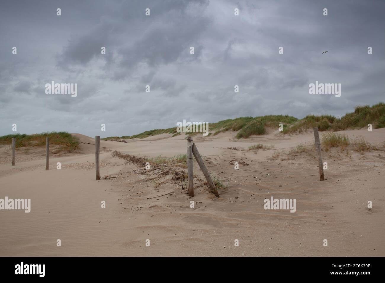 The beach in Hargen aan Zee in Netherlands without foreign tourists ...