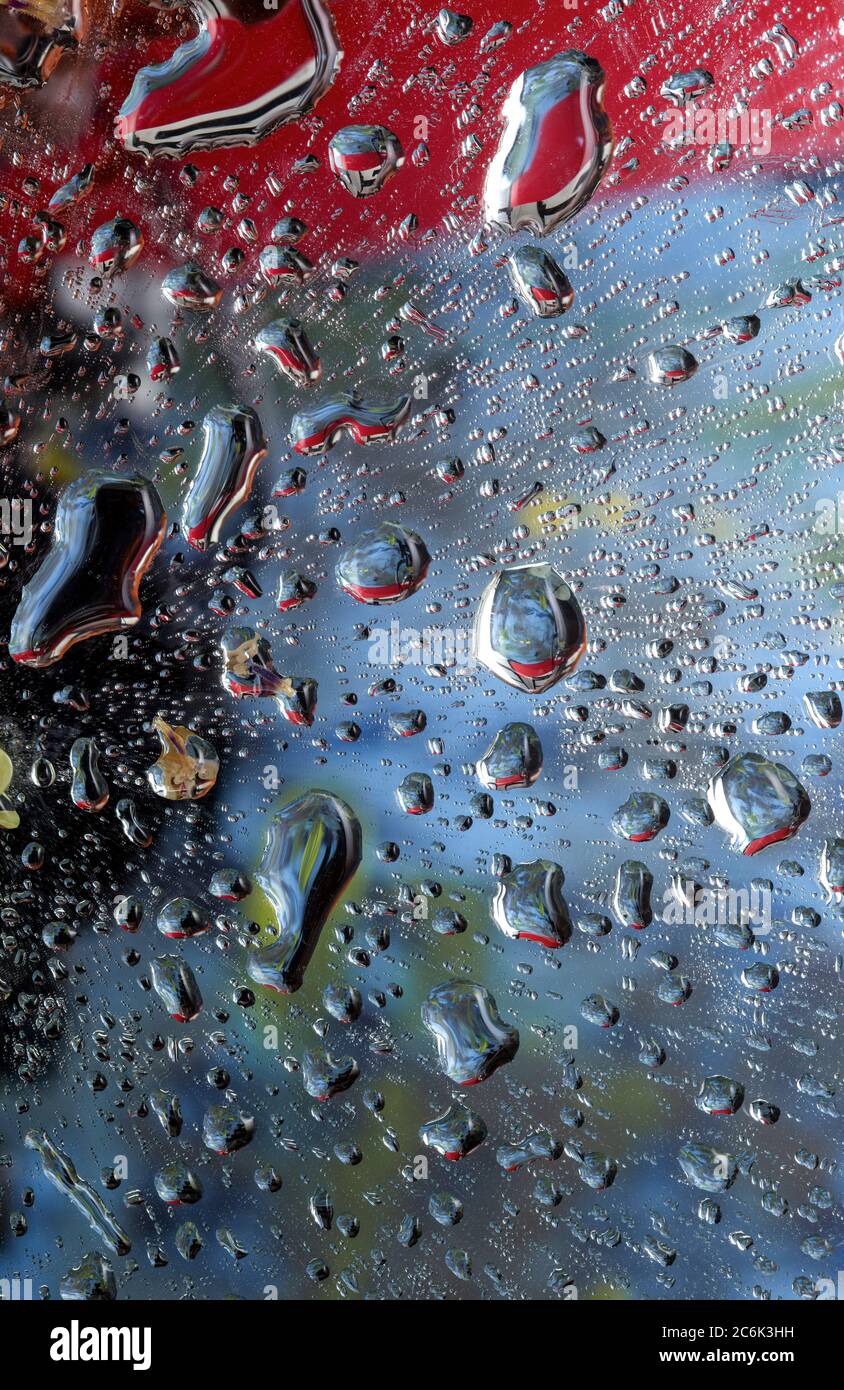 Colour infused water droplets, bubbles, natural environmental portrait ...