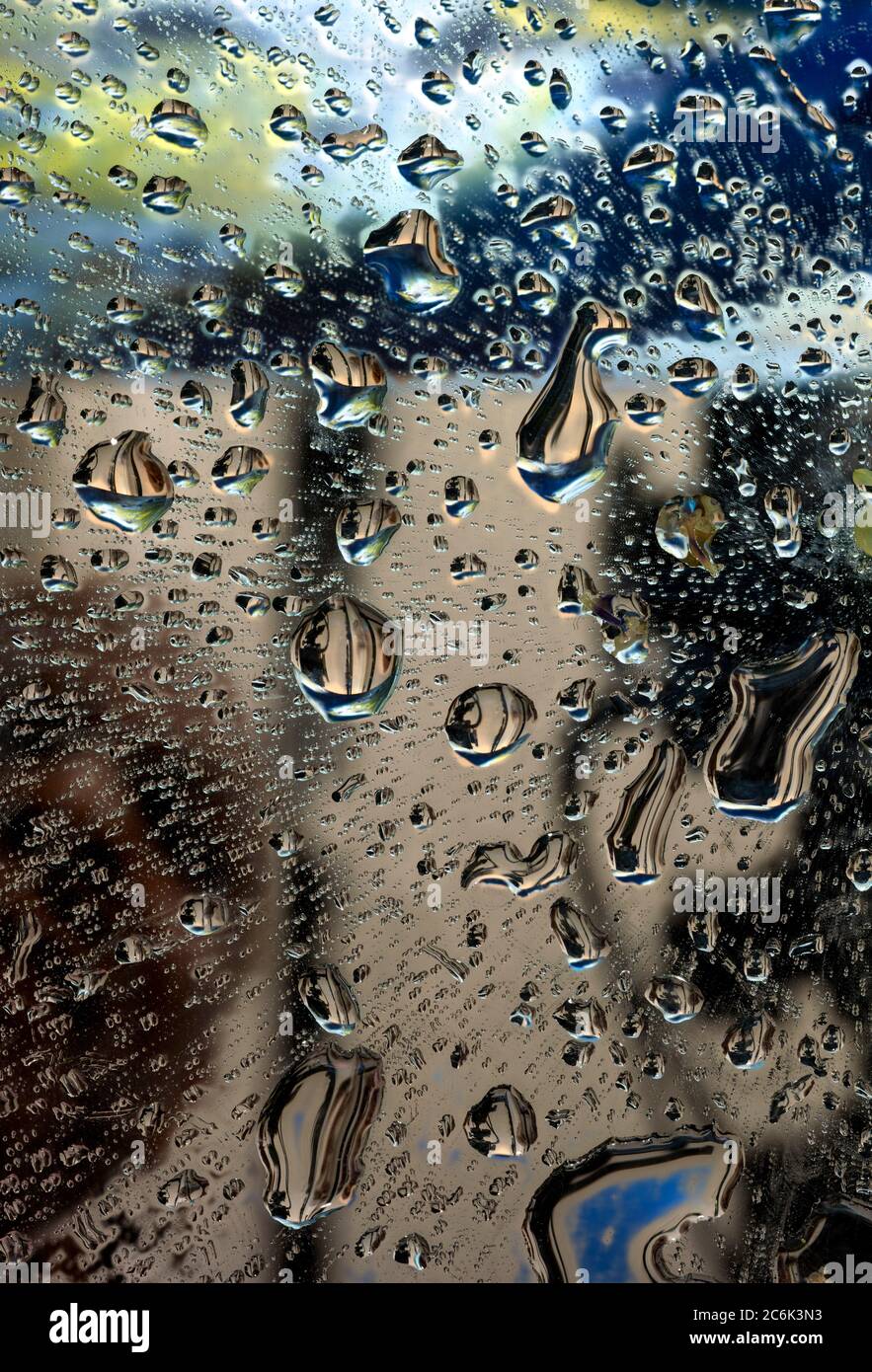 Colour infused water droplets, bubbles, natural environmental portrait ...