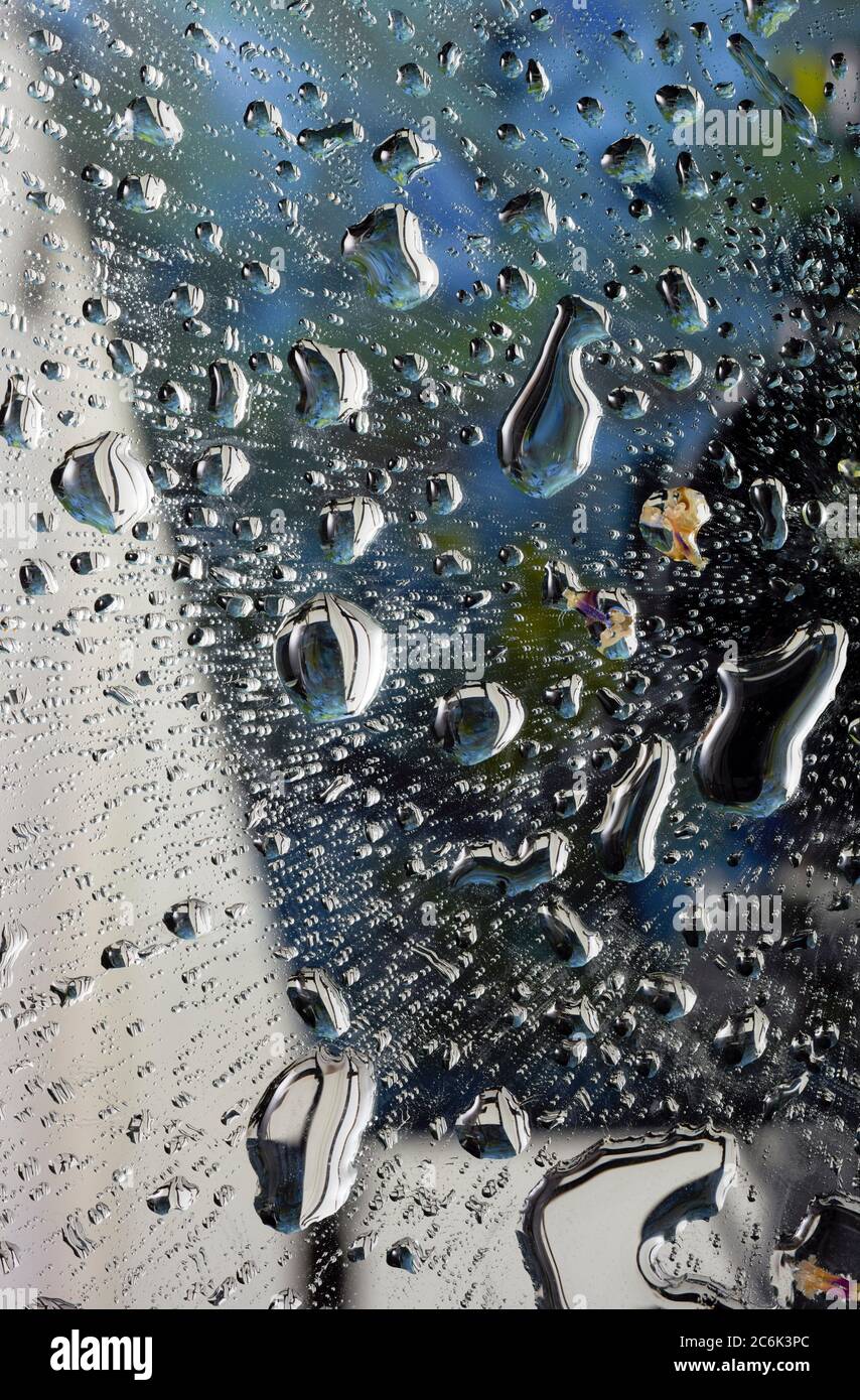 Colour infused water droplets, bubbles, natural environmental portrait ...