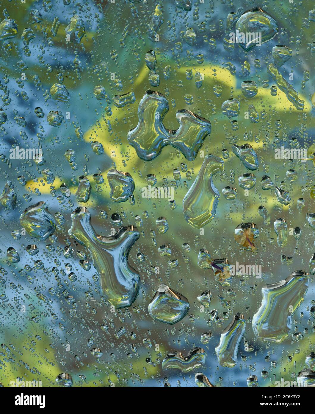 Colour infused water droplets, bubbles, natural environmental portrait ...