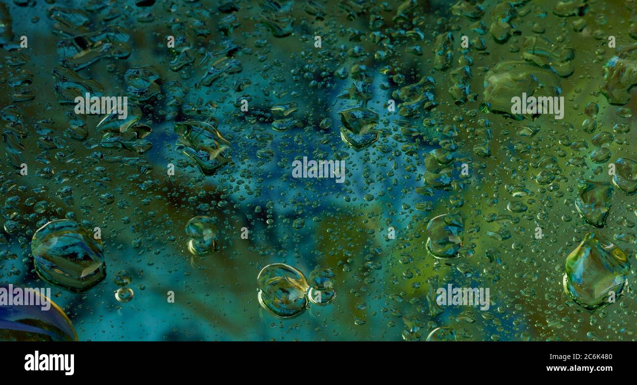 Colour infused water droplets, bubbles, natural environmental portrait ...