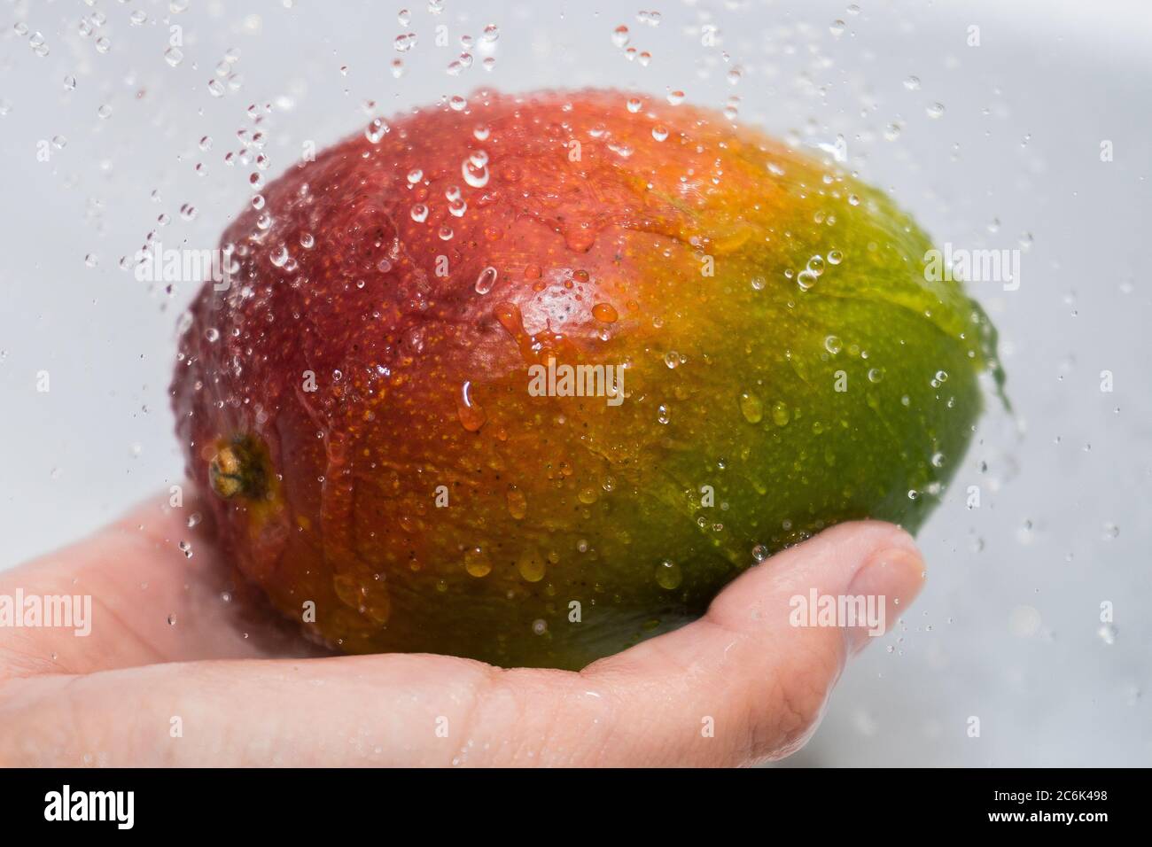 Mango and spray of water. Hands and mango under a stream of water Stock ...