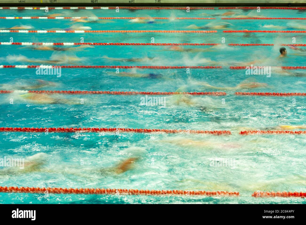 Competitive swimmers warm up in a pool before racing. The image was ...