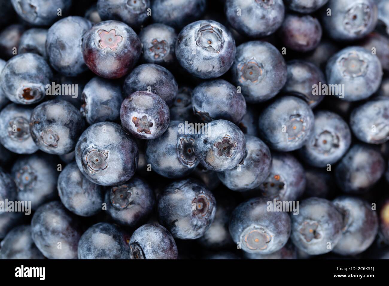 Fresh blueberries background with copy space for your text. Border ...