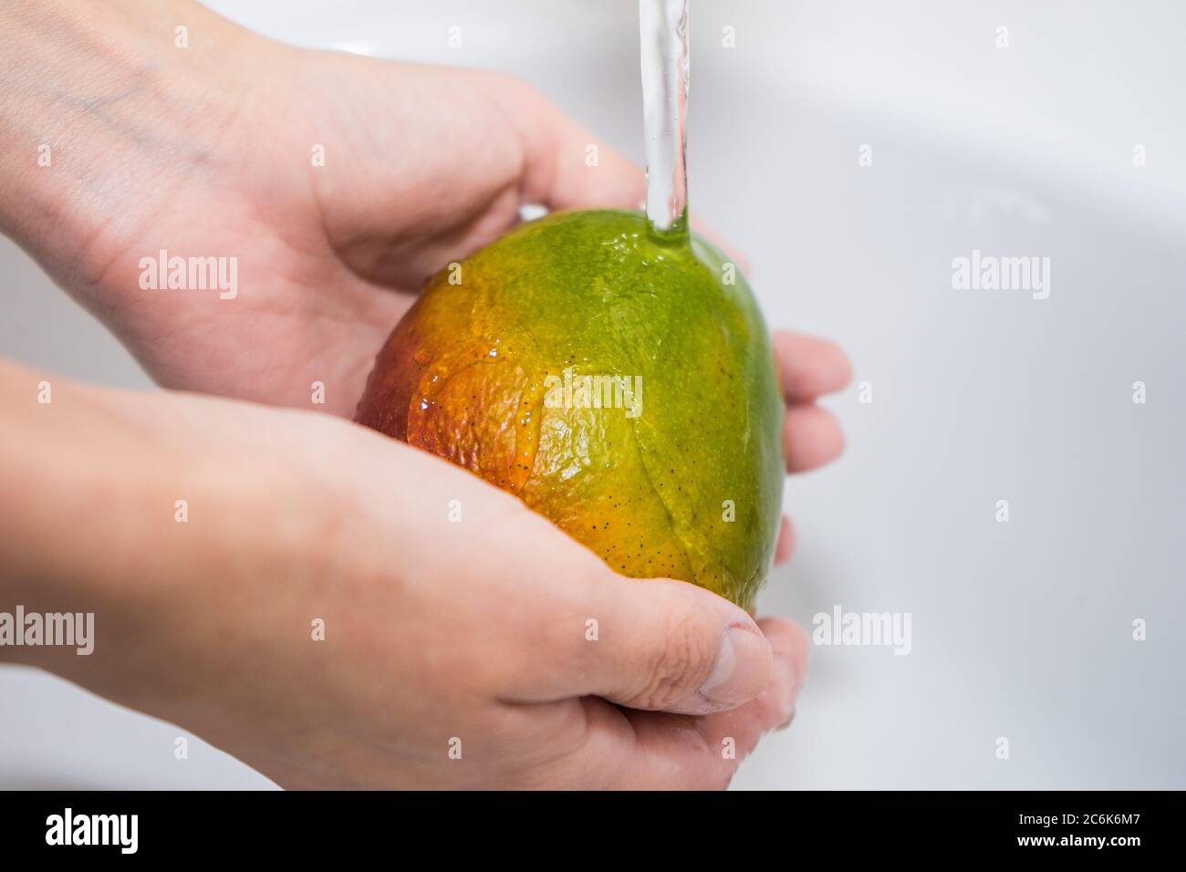hands and red-green mango under a stream of water. Girl washes mangoes ...