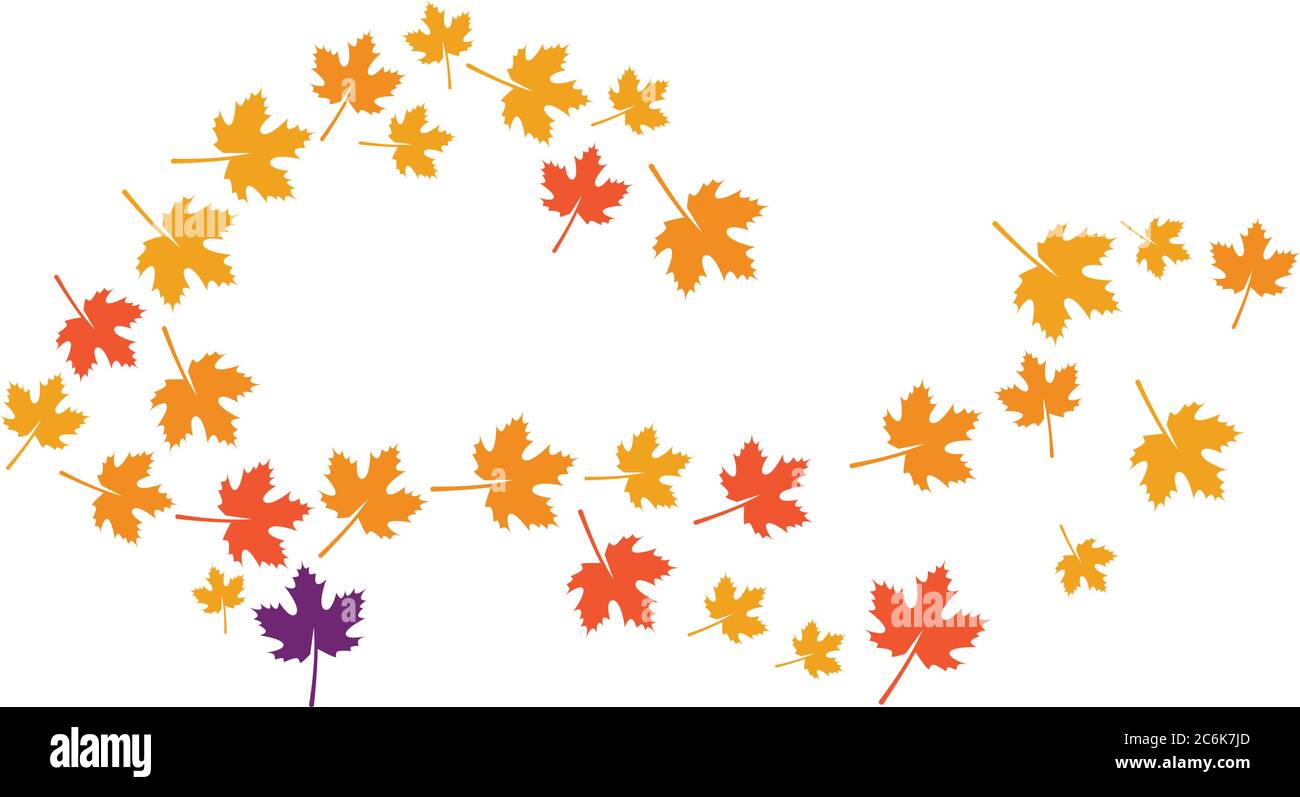 Auntumn leaves hi-res stock photography and images - Alamy