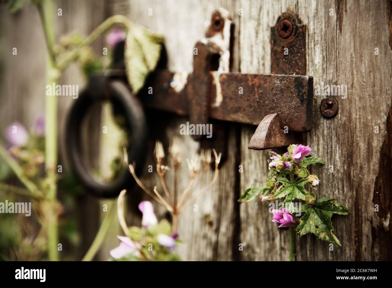 Metal gate hook hi-res stock photography and images - Alamy