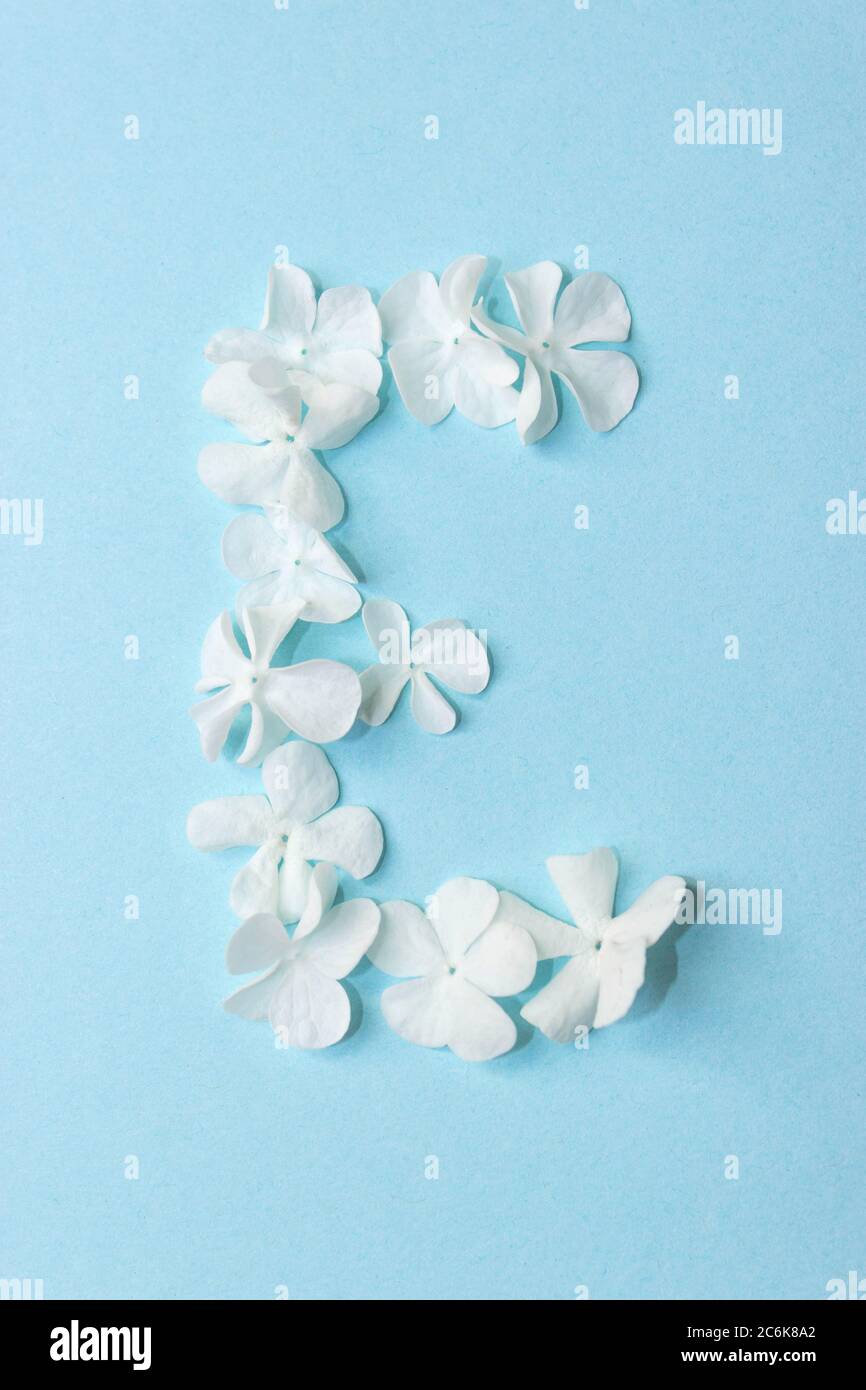 Letter e flowers hi-res stock photography and images - Alamy