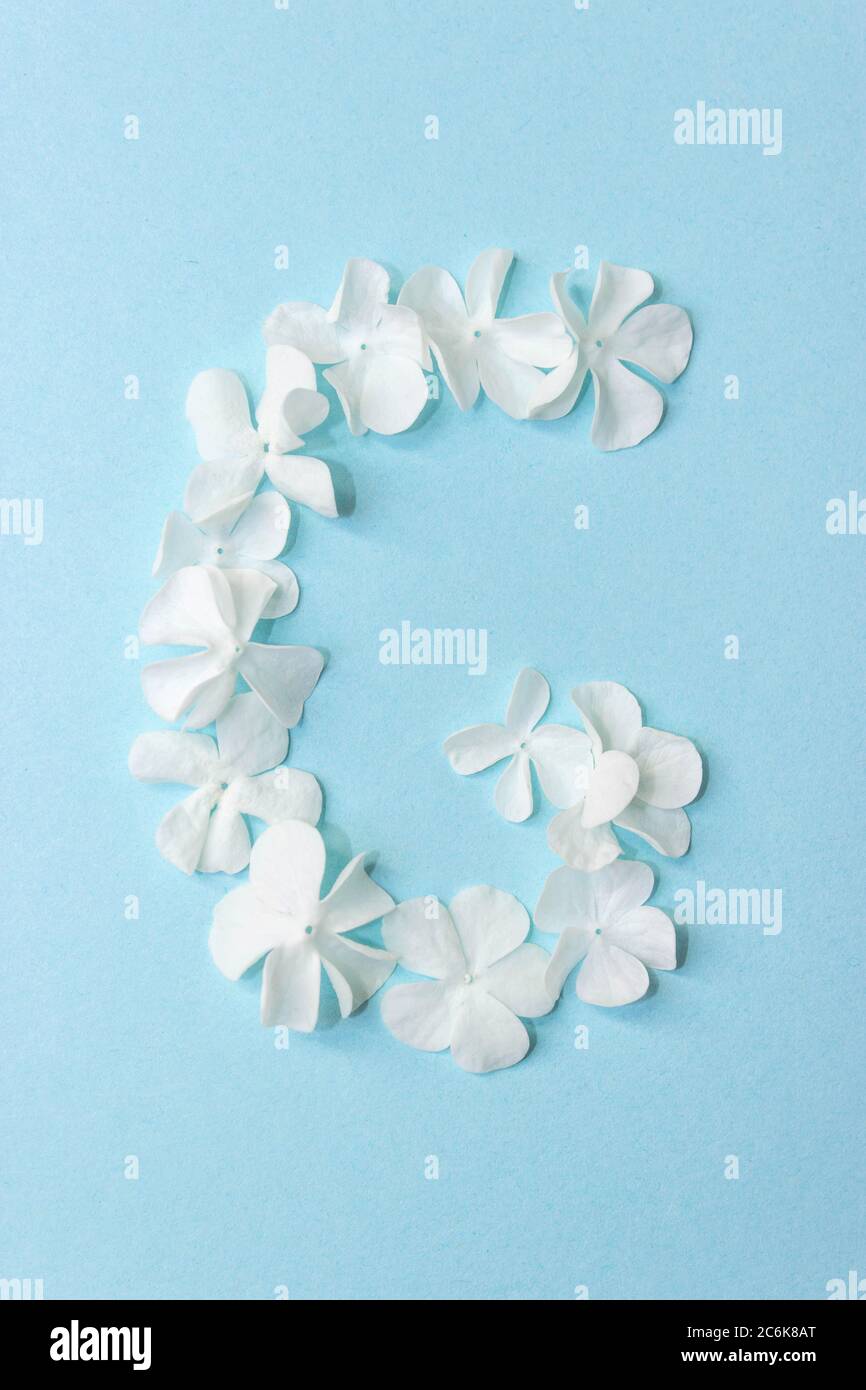 Letter g flowers hi-res stock photography and images - Alamy