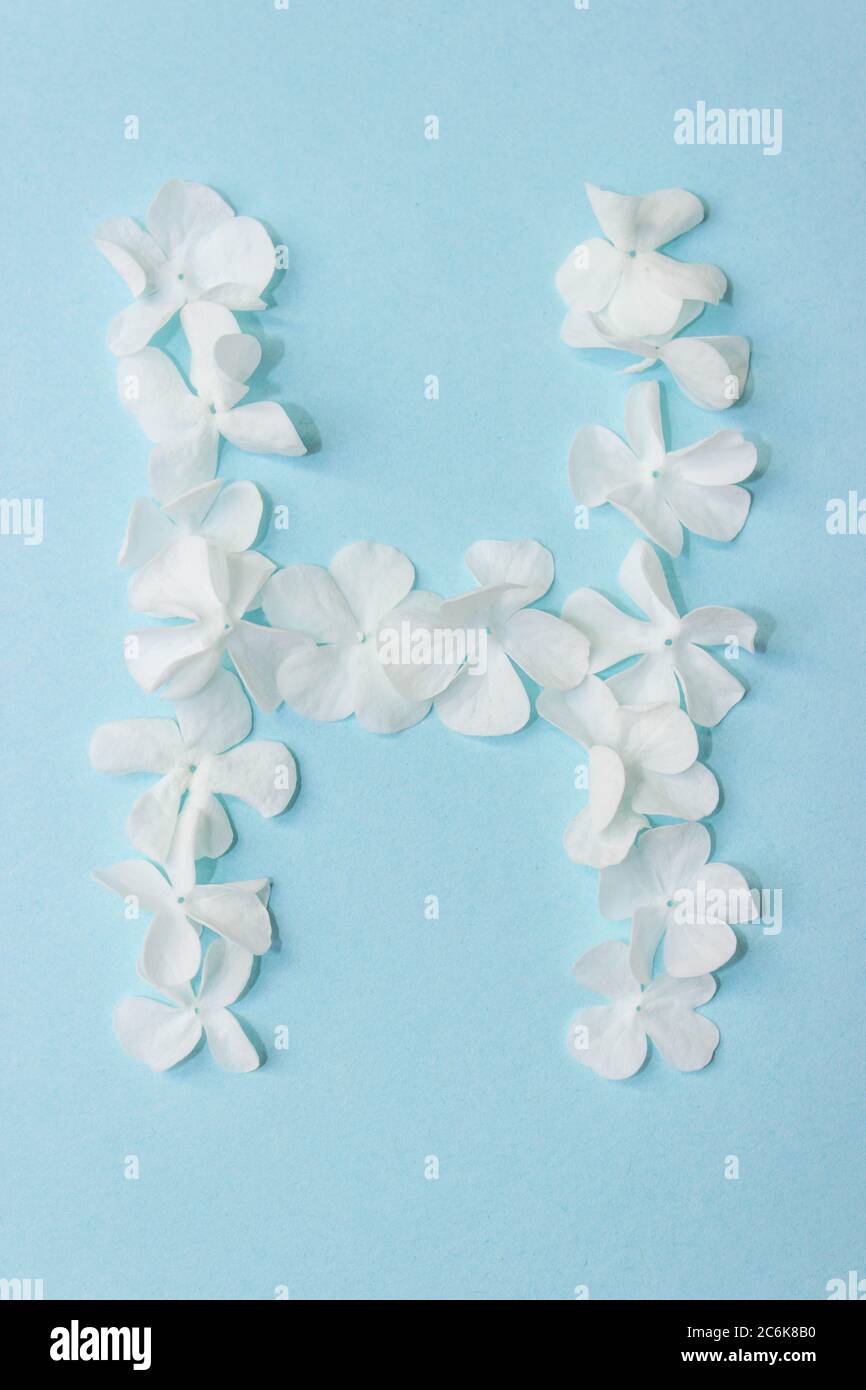 Flower Alphabet - H. Letter made from live flowers on light blue ...