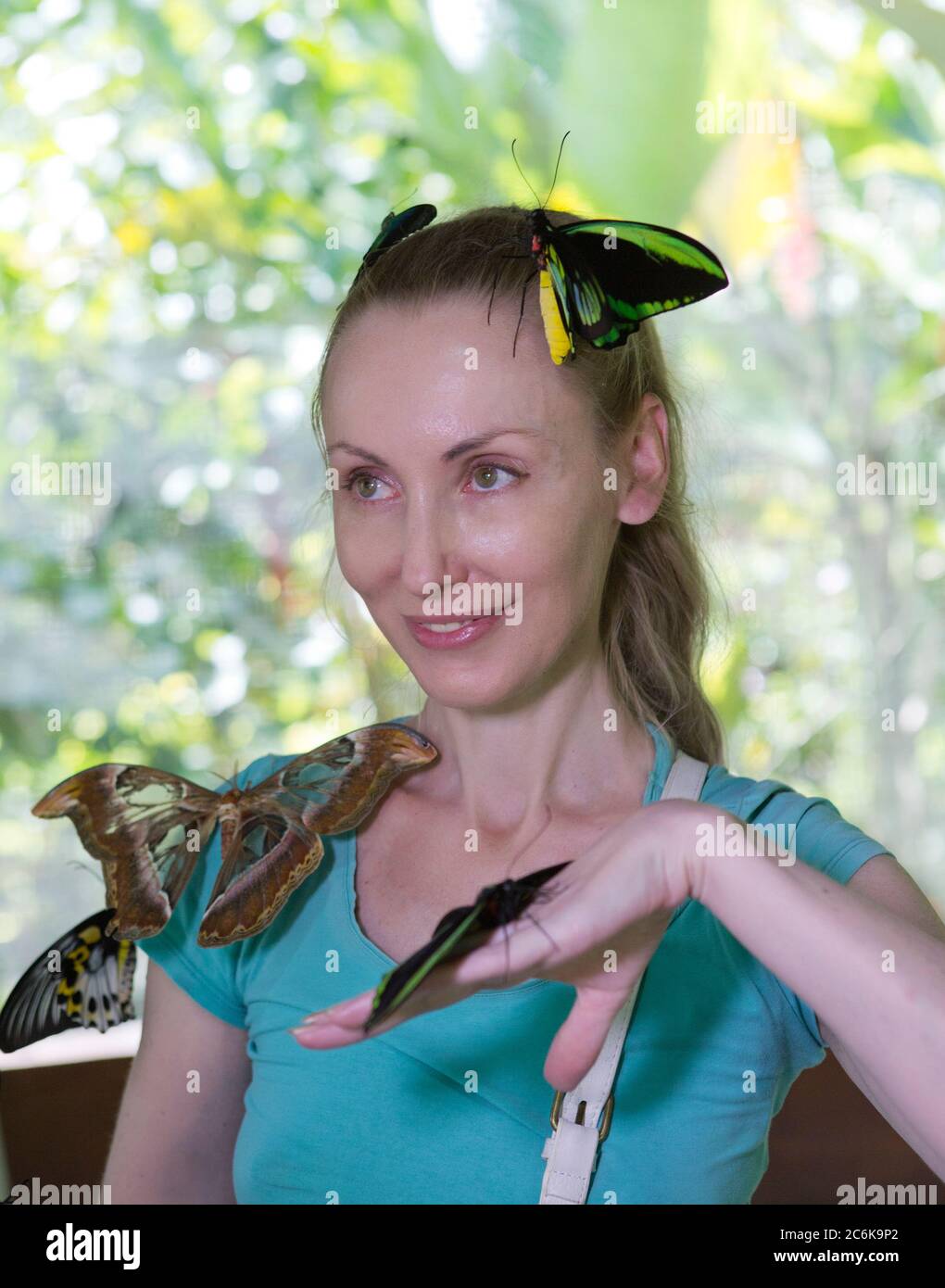 beautiful young woman in a butterfly park with large tropical ...