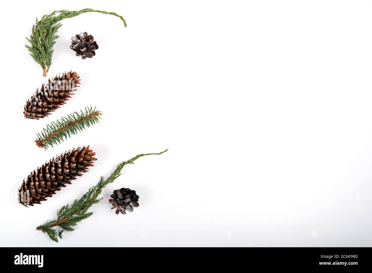 Random mix of pine cones, spruce cones, juniper and spruce twigs. Copy ...