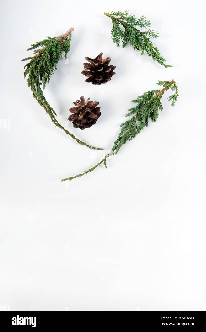 Juniper twigs hi-res stock photography and images - Alamy