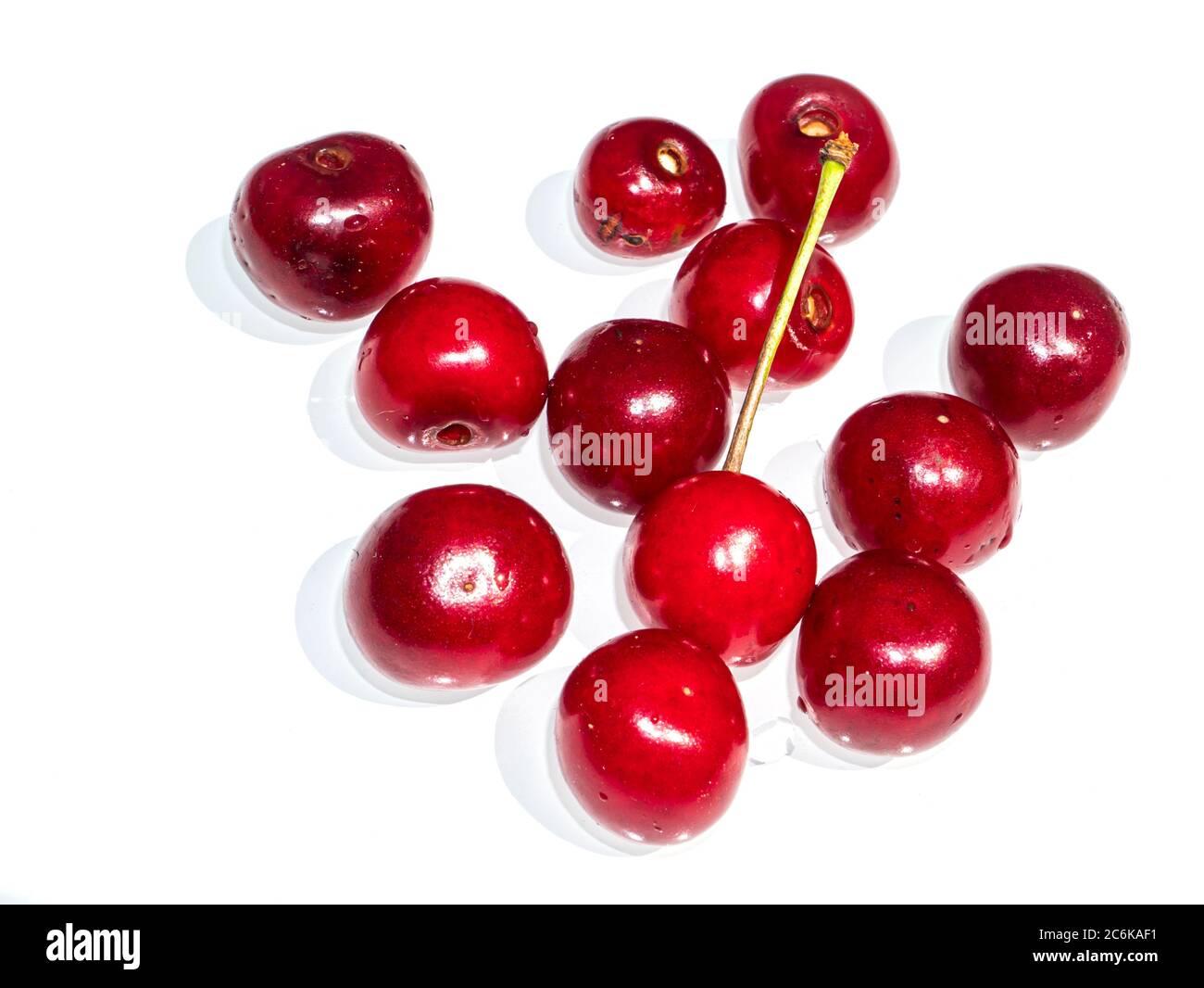 Shiny ruby berries hi-res stock photography and images - Alamy