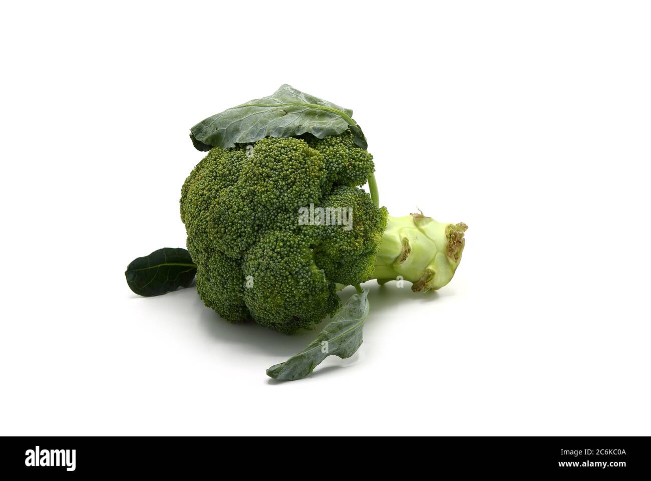 Raw broccoli inflorescence on a light background. Natural product ...