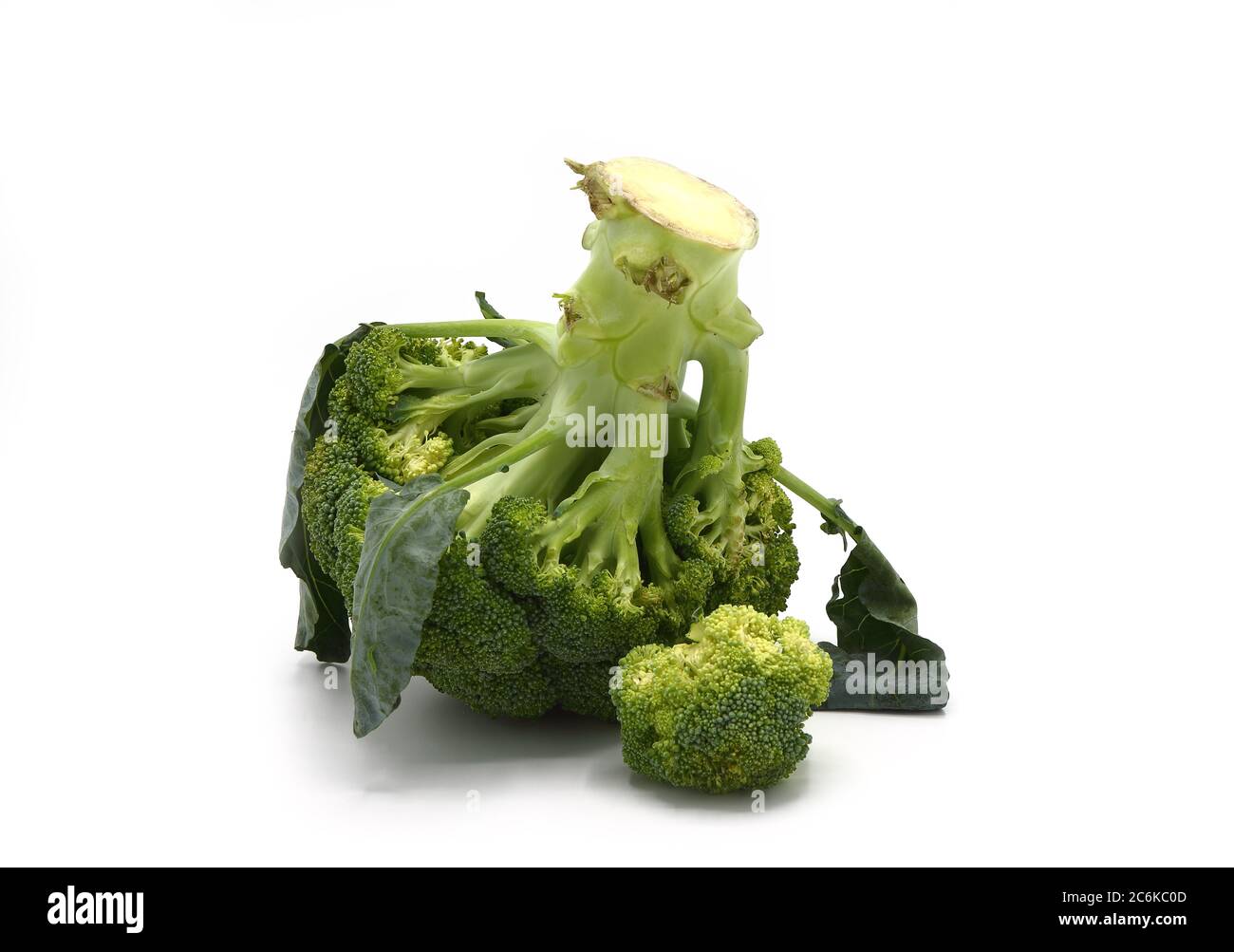 Raw broccoli inflorescence on a light background. Natural product ...