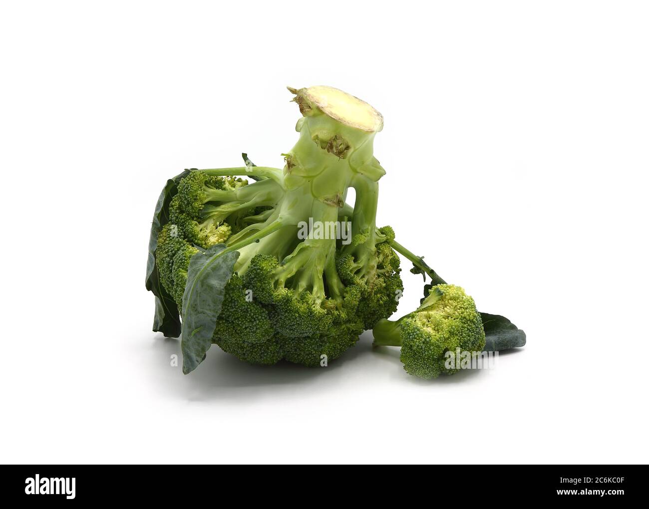 Raw broccoli inflorescence on a light background. Natural product ...