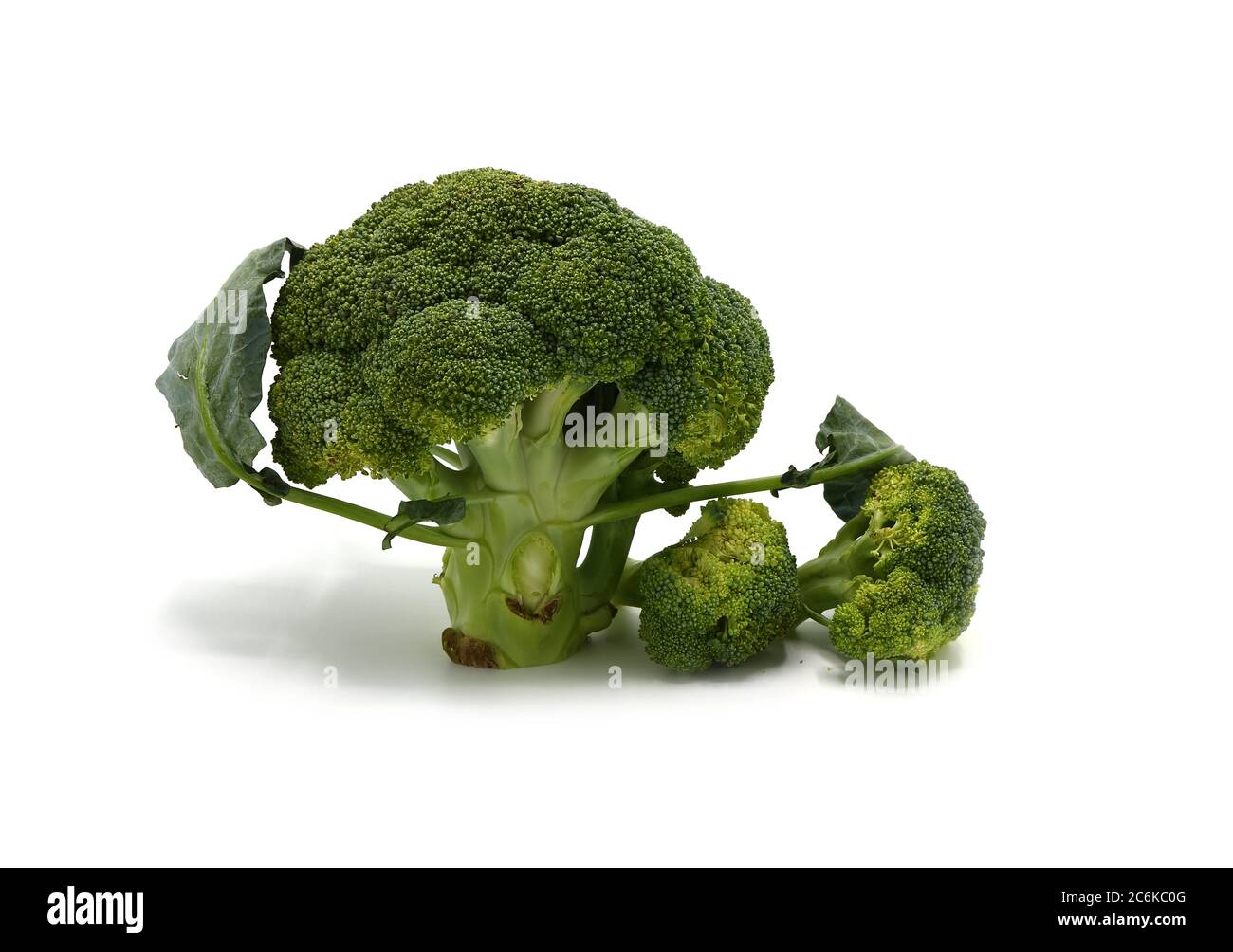 Raw broccoli inflorescence on a light background. Natural product ...