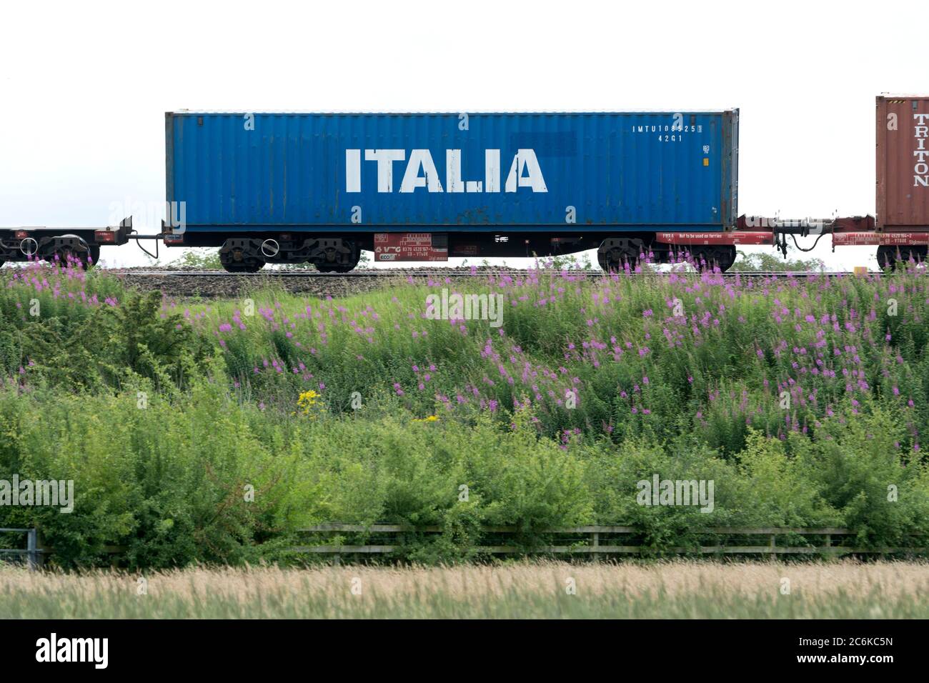Italia shipping container on a freightliner train, Warwickshire, UK ...