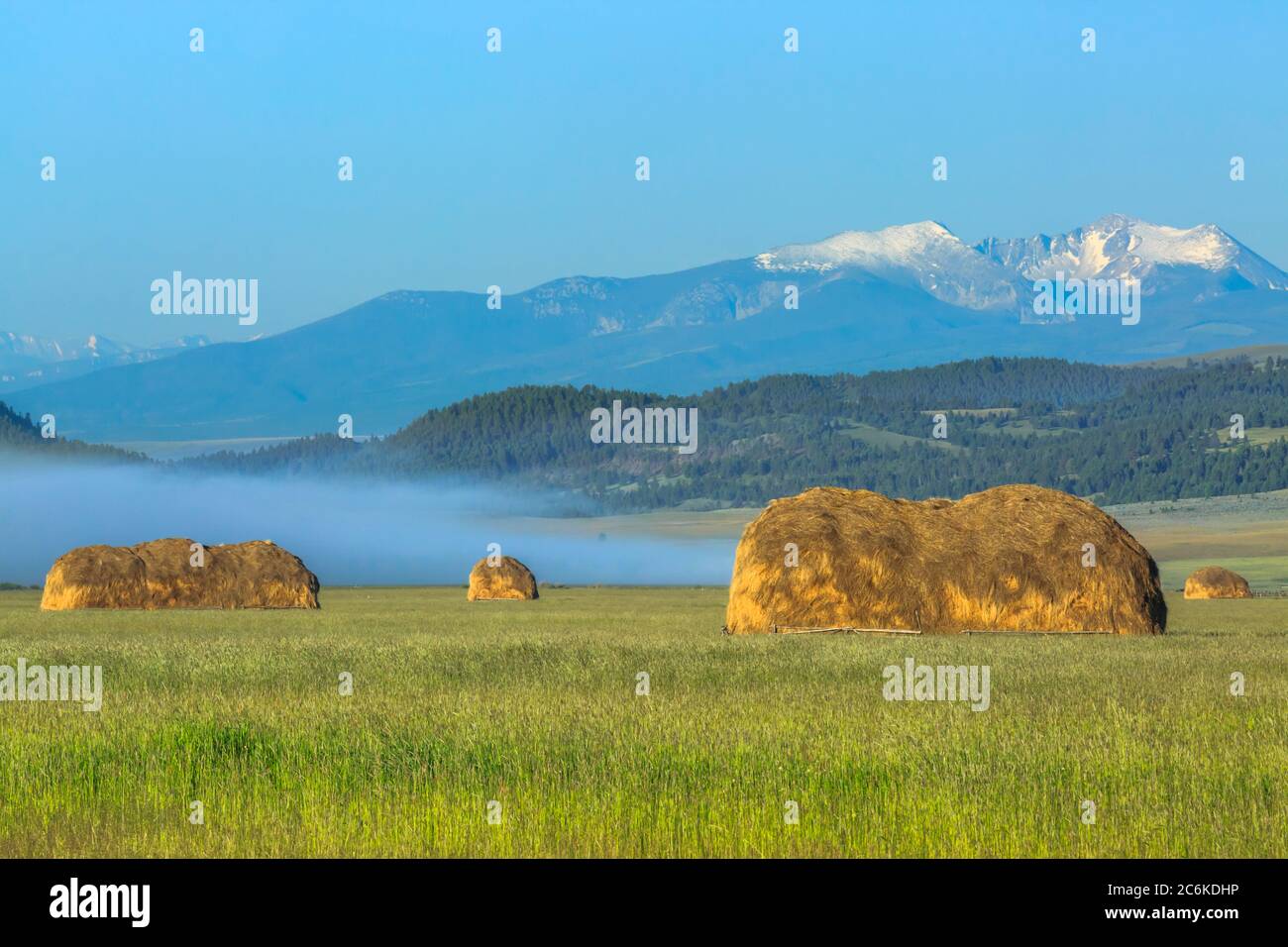 Mt d9559 hi-res stock photography and images - Alamy