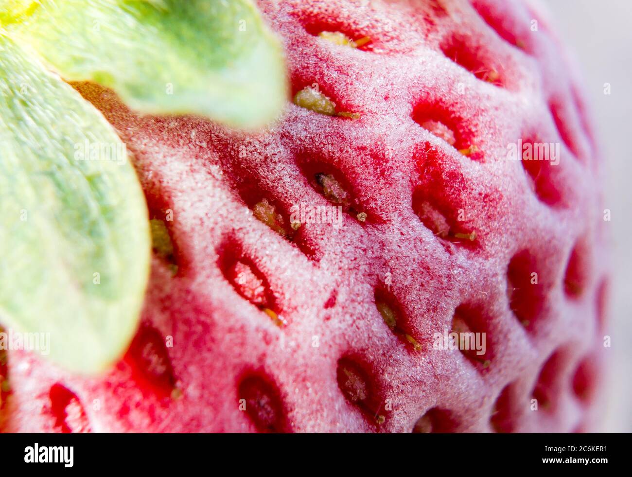 macro photography of a fresh frozen strawberry Stock Photo - Alamy