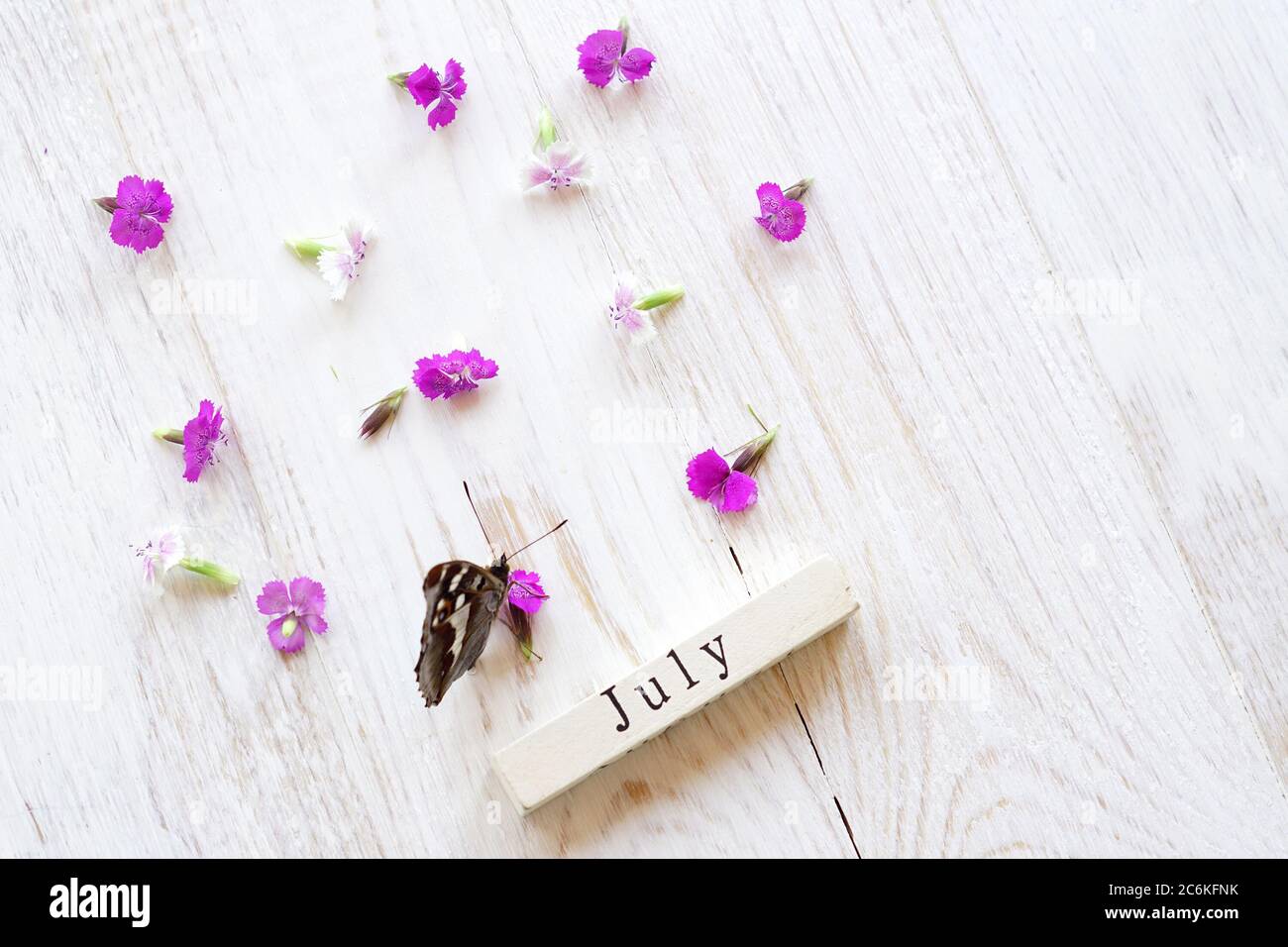 first day of July, colorful background with calendar, flowers and ...