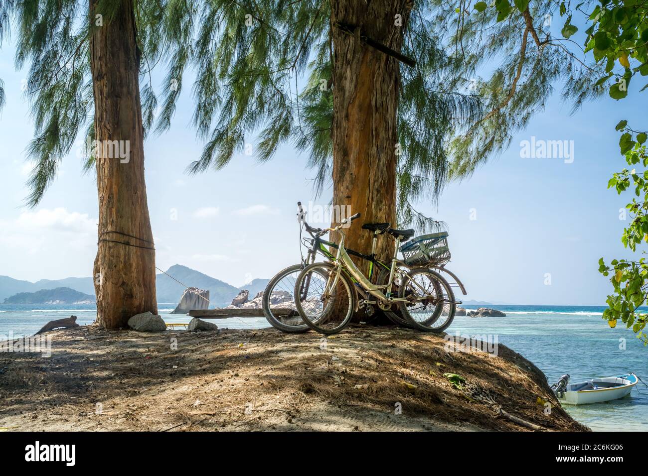 Filao trees hi-res stock photography and images - Alamy