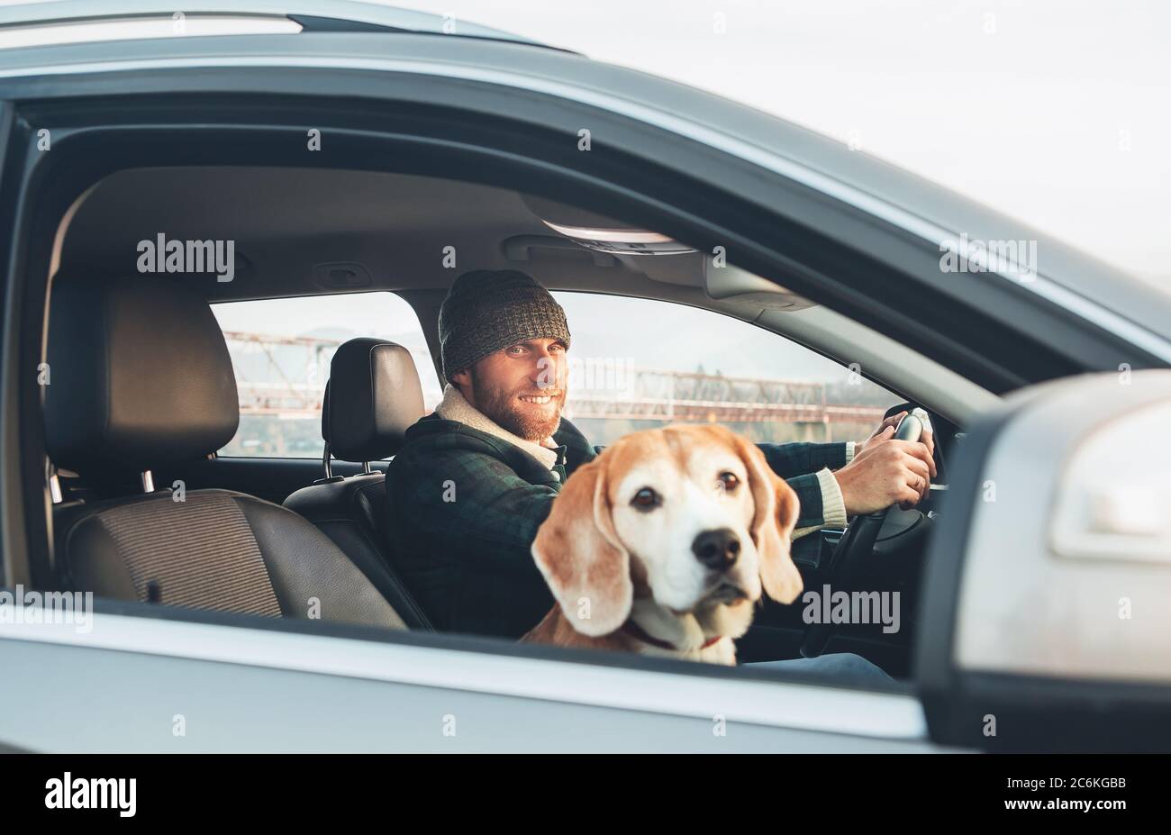 Dog inside vehicle hi-res stock photography and images - Alamy