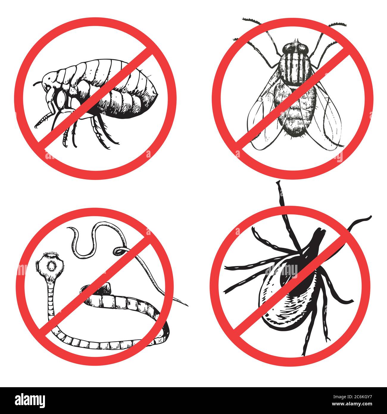 Set of ink drawn pests, worm, fly, flea, mite. Vector illustration ...