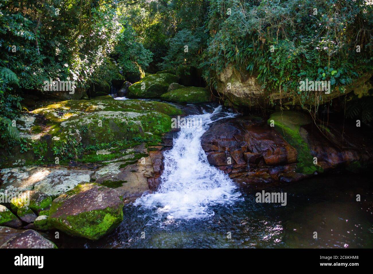 Brazilian atlantic forest hi-res stock photography and images - Alamy