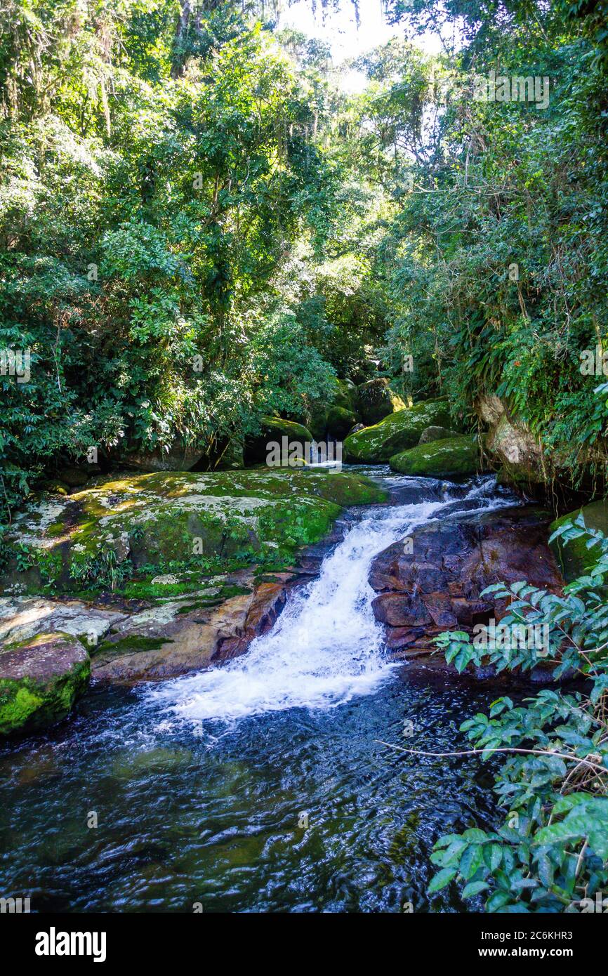 Waterfall in the Brazilian Atlantic Forest in Ilhabela, São Paulo State ...