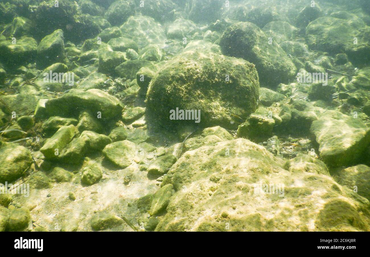 Large rocks underwater hi-res stock photography and images - Alamy