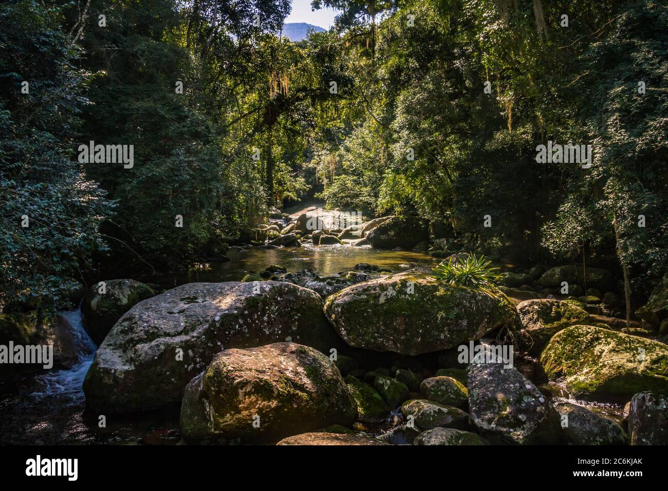 Brazilian atlantic forest hi-res stock photography and images - Alamy