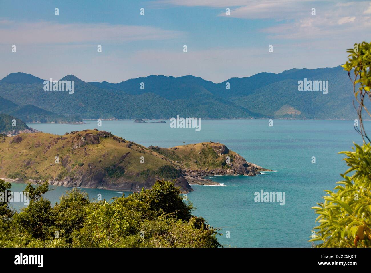 Atlantic forest on the brazilian coast in Ilhabela, São Paulo, Brazil ...