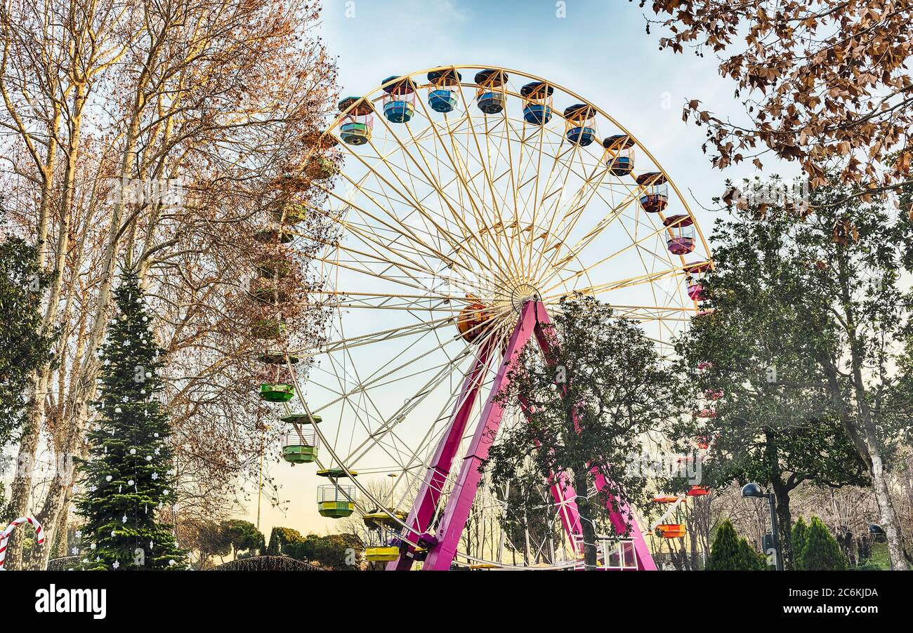 Ferris Wheel surrounded by trees inside an amusement park Stock Photo ...